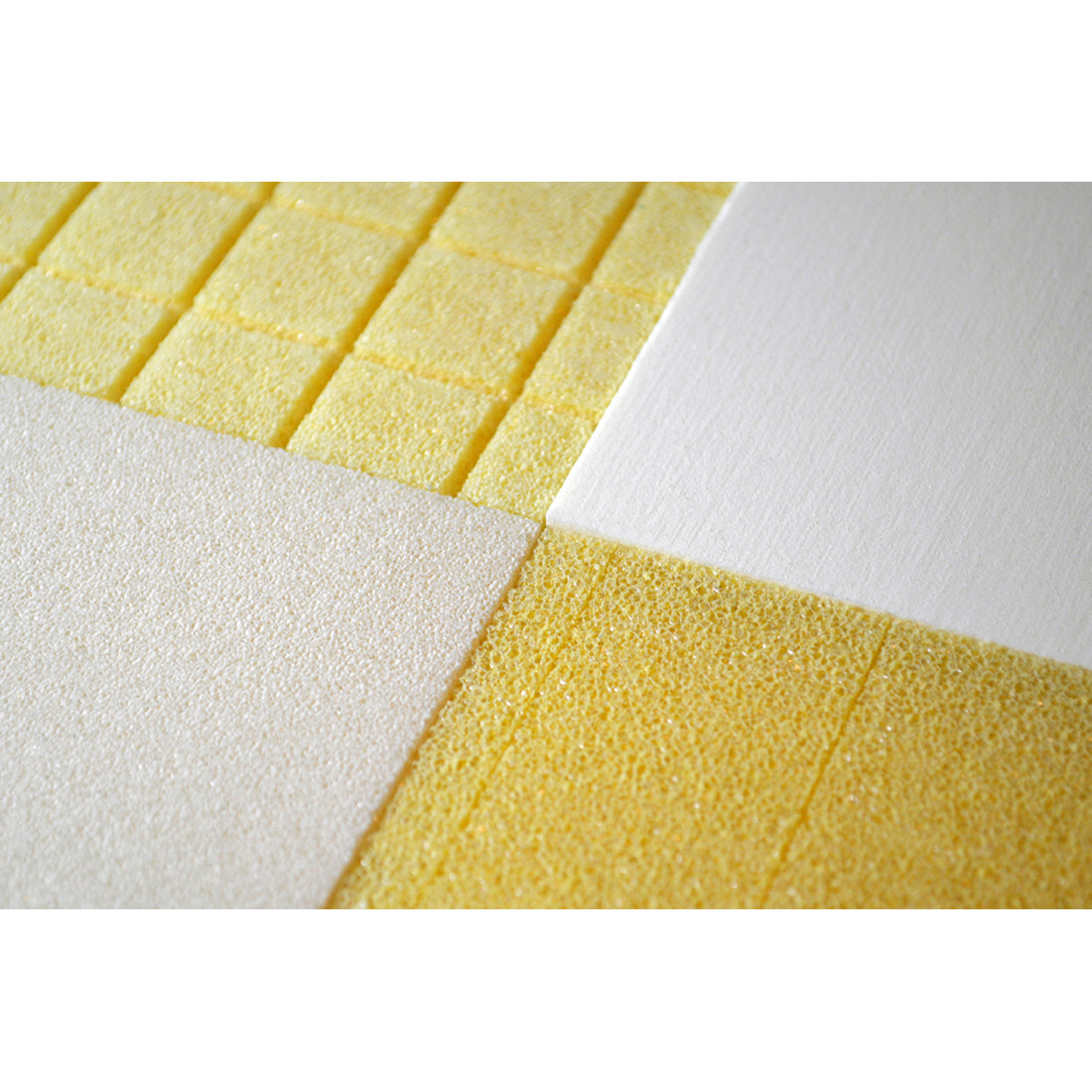 M200 Corecell x 5 mm